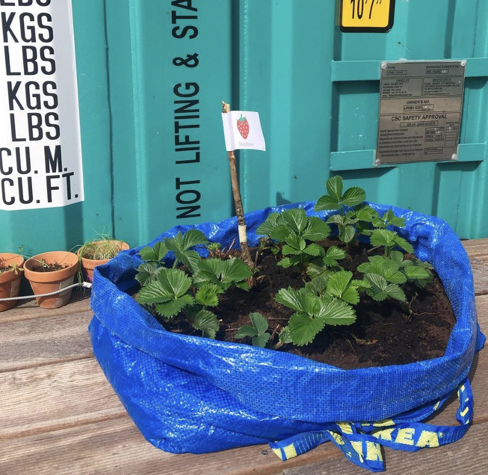 Living Spaces - Urban Rigger